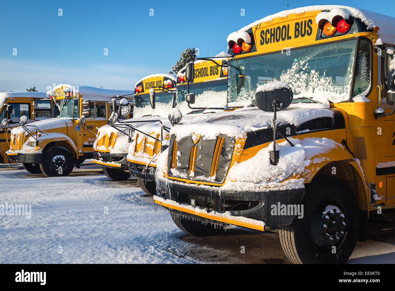 Schoolbus hi-res stock photography and images - Alamy