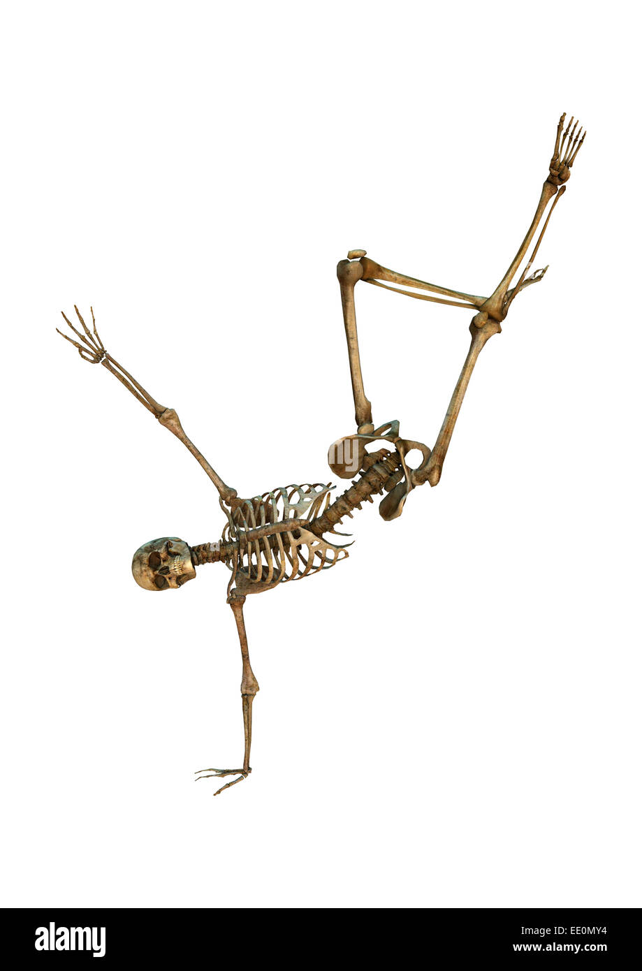 3D digital render of a human dancing skeleton isolated on white ...
