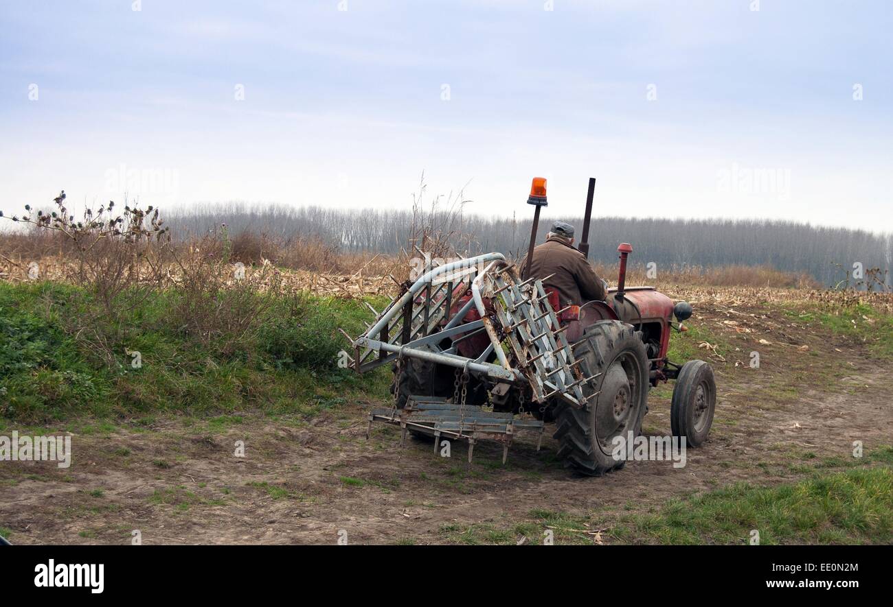 Farmer on old tractor cramps stubble on his field in Serbia. Preparing ...