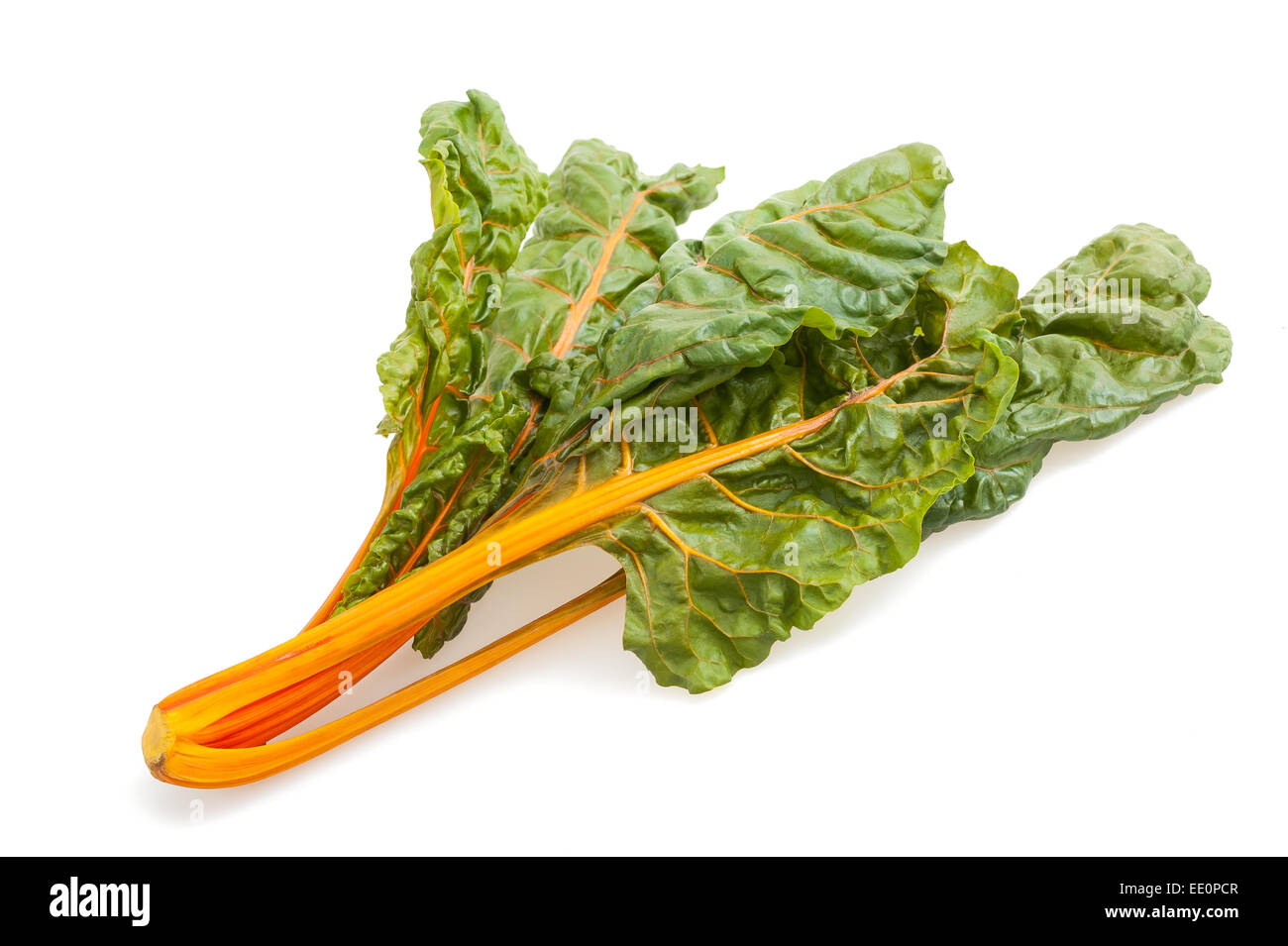 Fresh swiss chard isolated on white background Stock Photo - Alamy