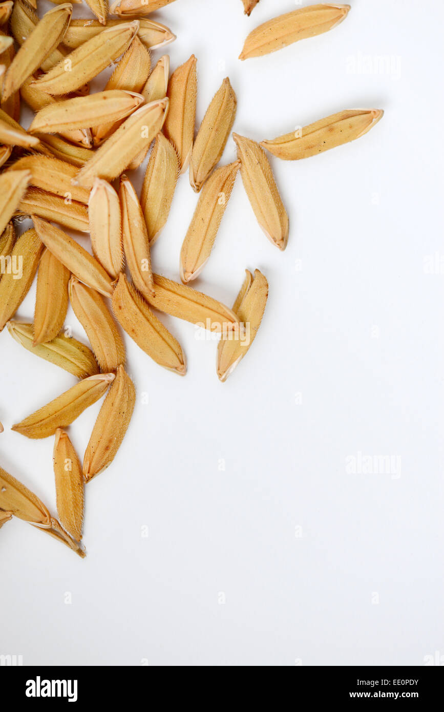 Paddy gold hi-res stock photography and images - Alamy
