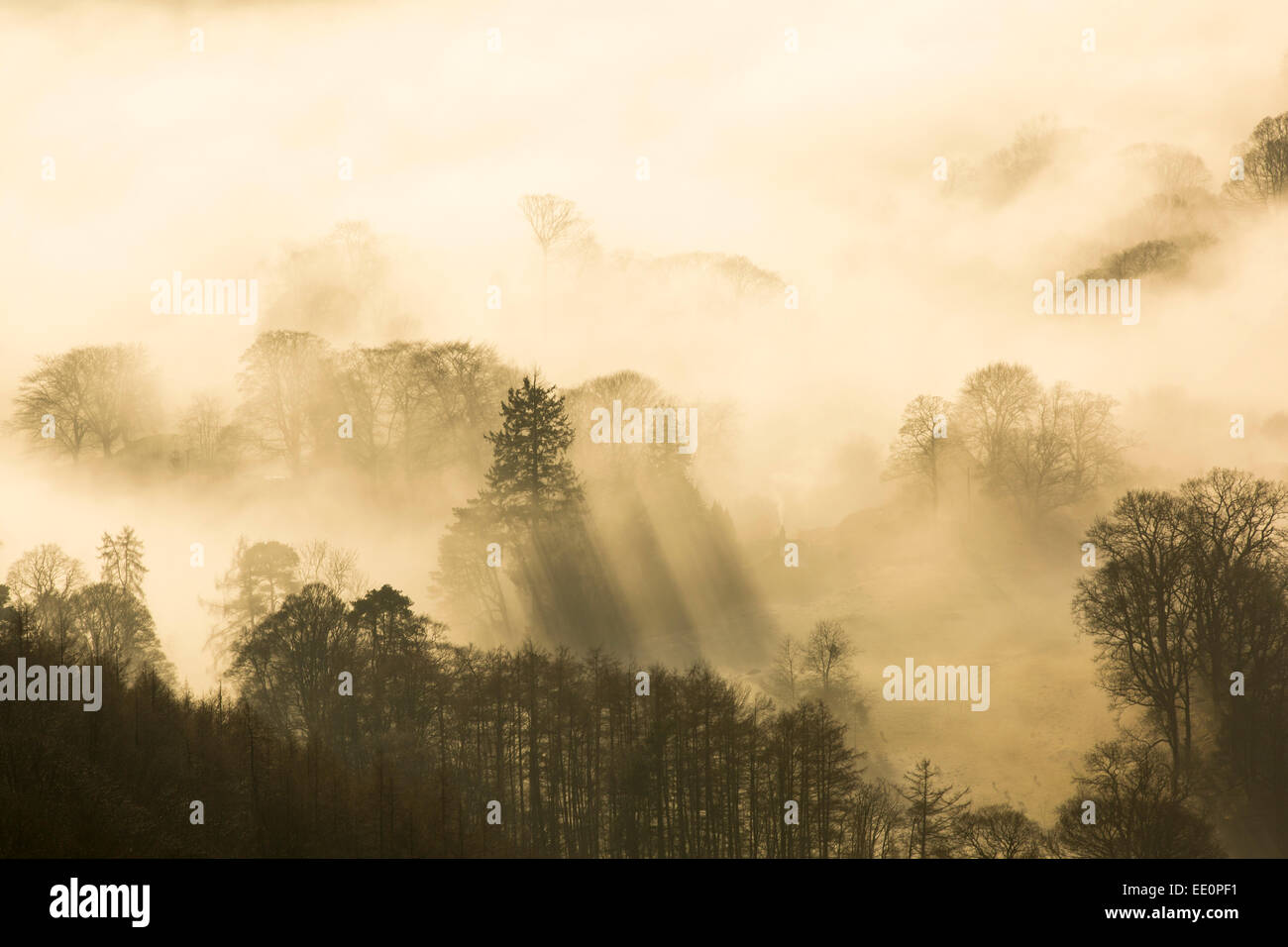 Valley mist from temperature inversion hi-res stock photography and ...