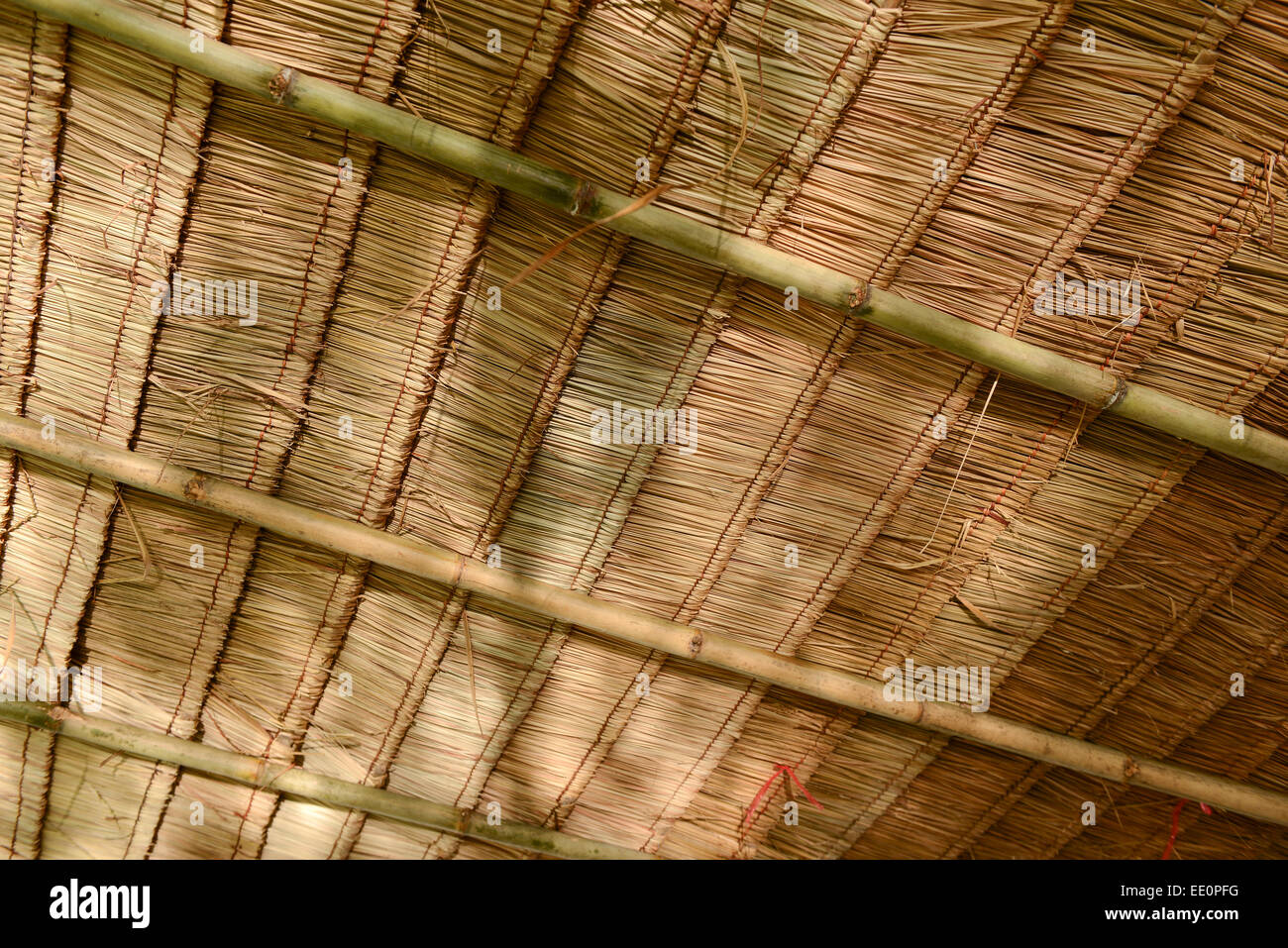 thatch roof background Stock Photo - Alamy