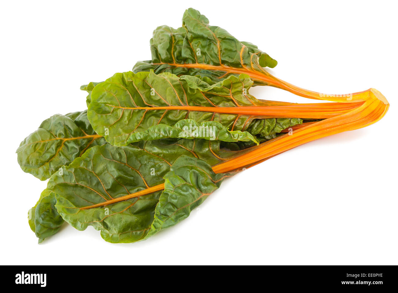 Fresh swiss chard isolated on white background Stock Photo - Alamy