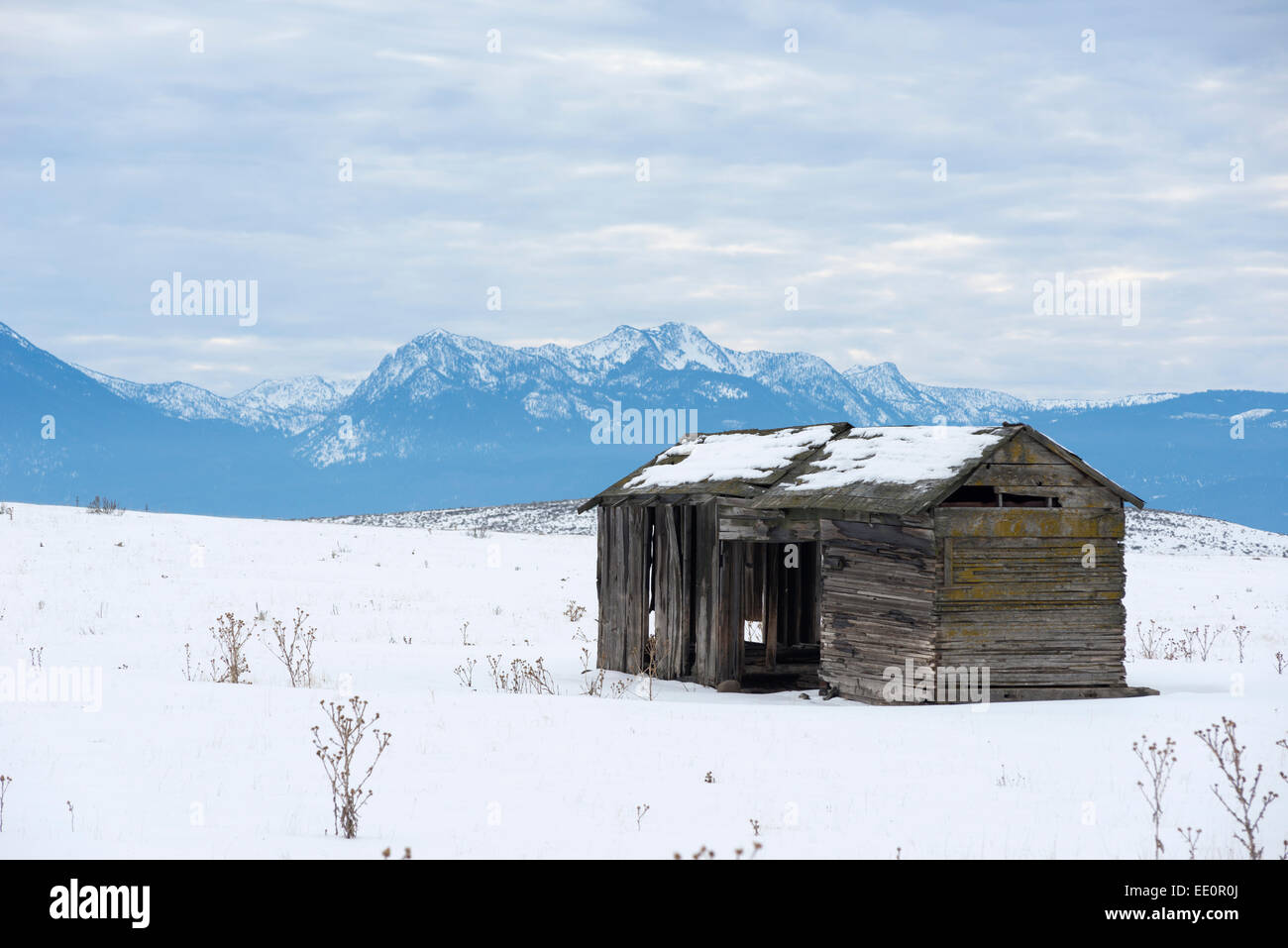 Weathered shed on a ranch below Oregon's Blue Mountains Stock Photo - Alamy