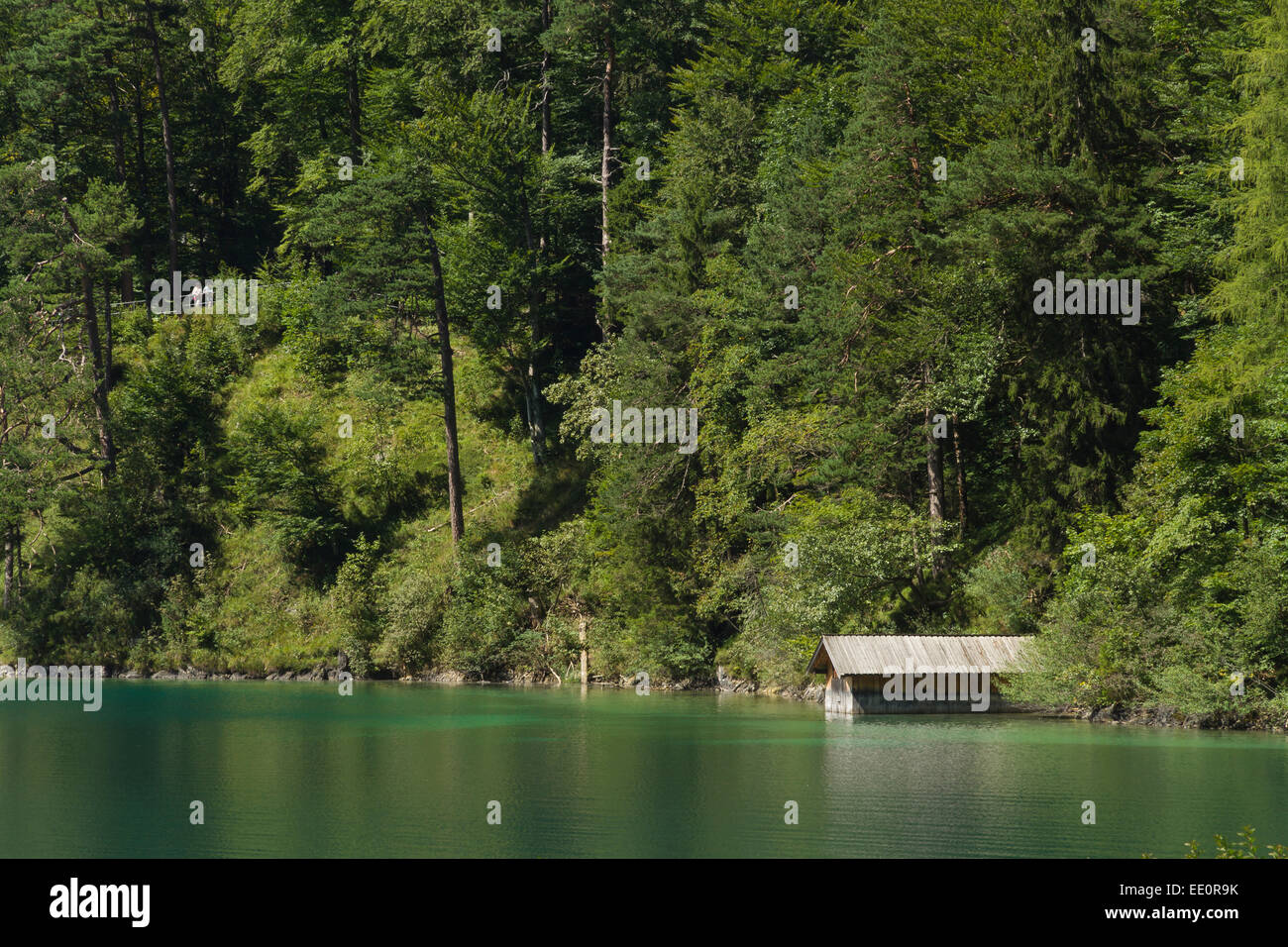Alpine Lake Alpsee in Ostallgau district of Bavaria, near ...