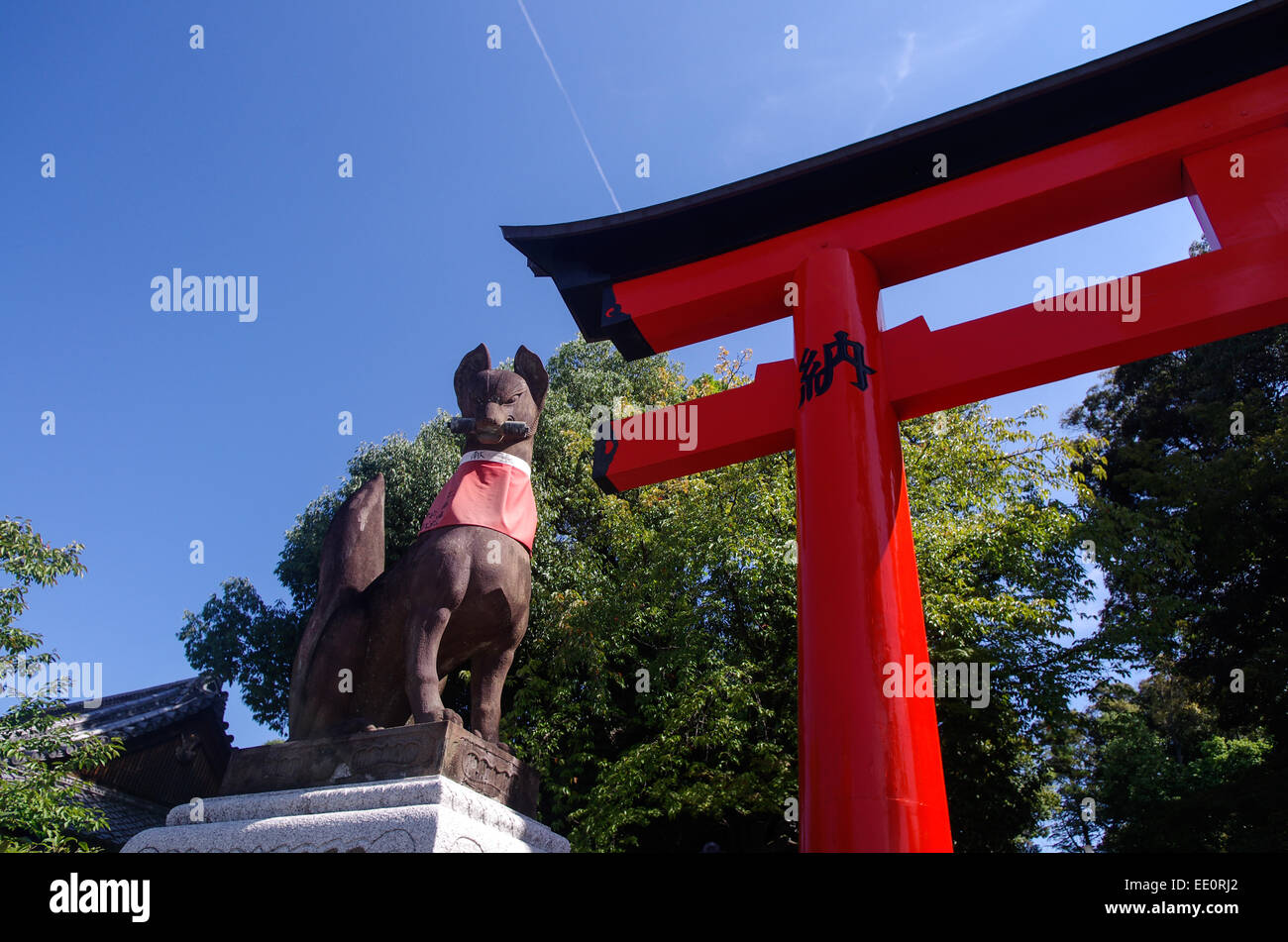 Inari fox statue and red torii at Fushimi Inari Shrine in Kyoto, Japan ...