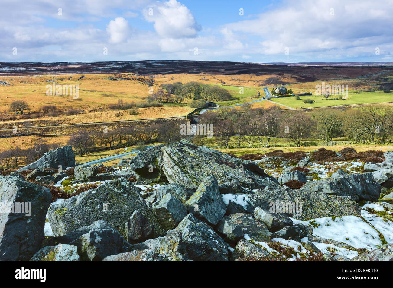 The North York Moors in spring with flowering grasses, moss, heather ...