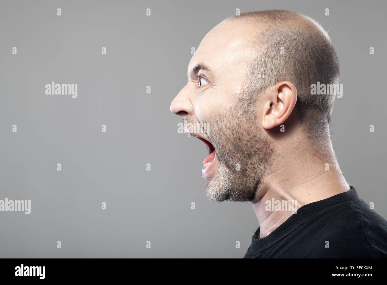 portrait of angry man screaming isolated on gray background with ...