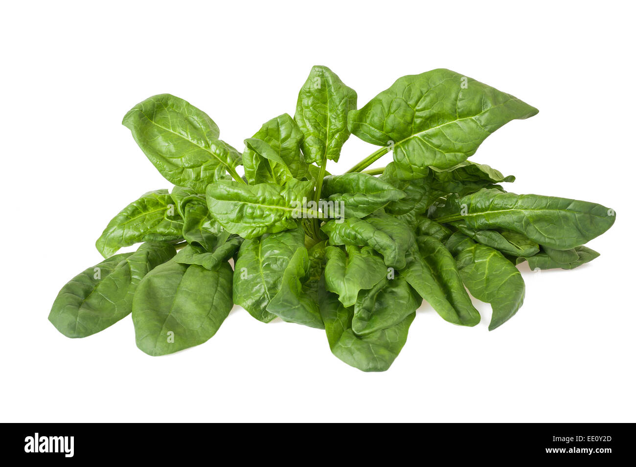 Fresh leaves spinach isolated on white background Stock Photo - Alamy