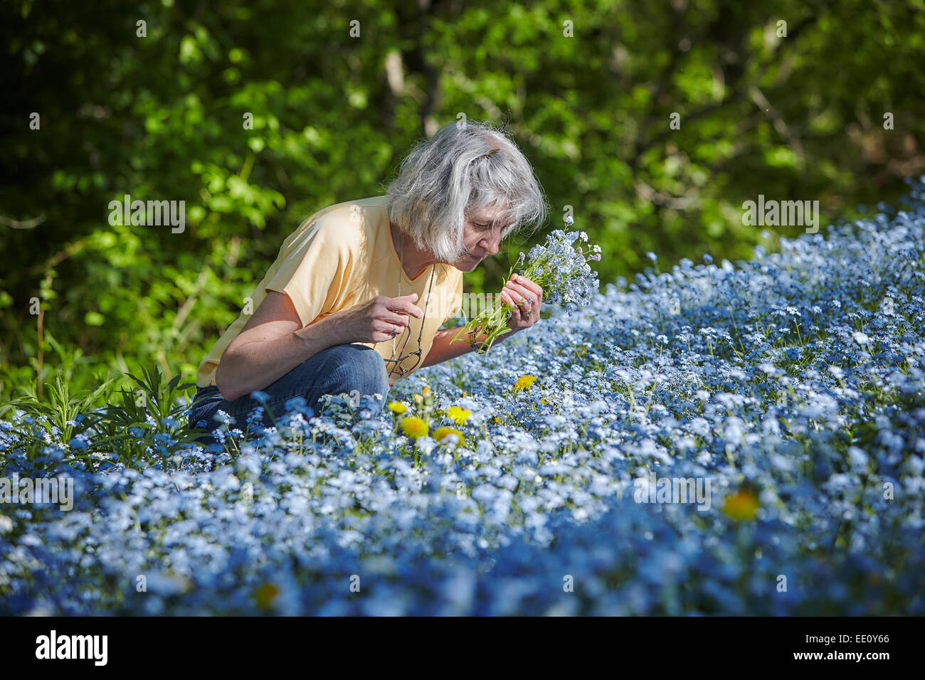 Forget me woman flowering hi-res stock photography and images - Alamy