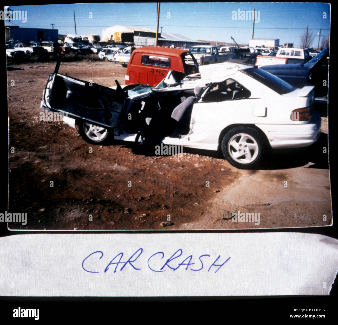 The Vow Book Kim And Krickitt Carpenter