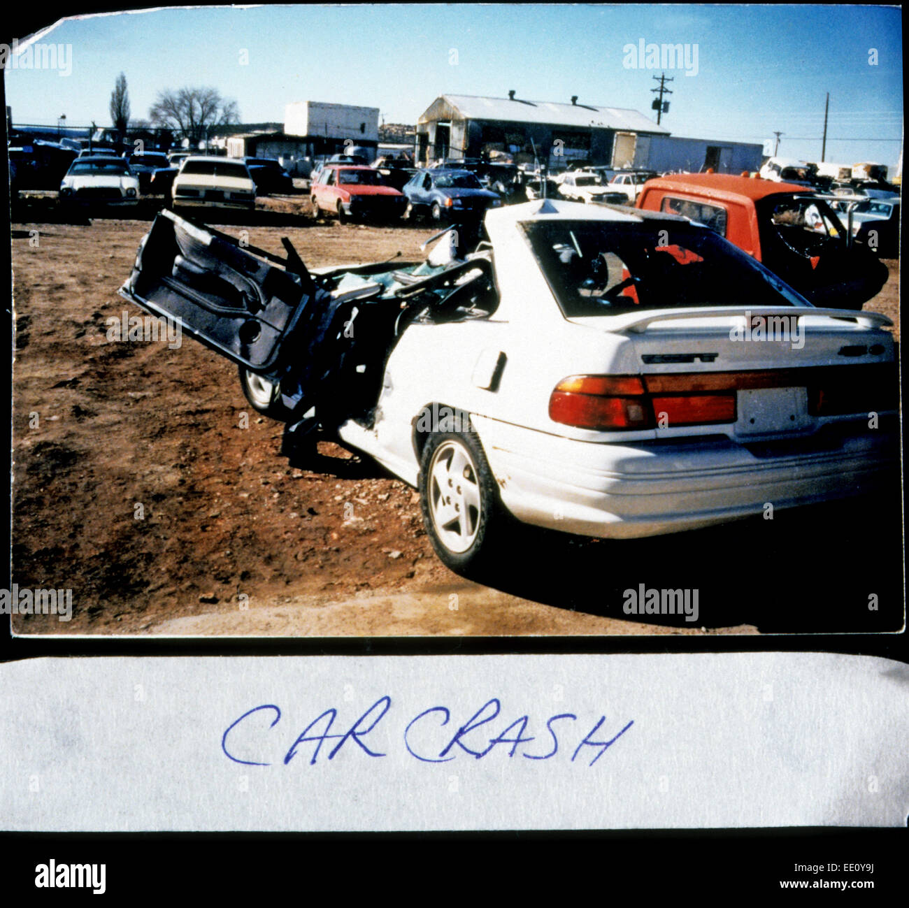 The Vow Book Kim And Krickitt Carpenter