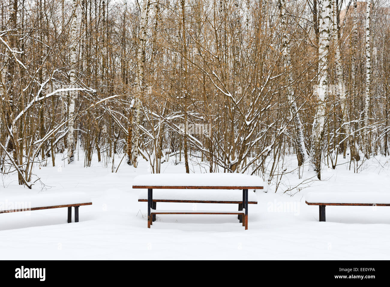snow covered table and benches on recreation ground of urban park in ...