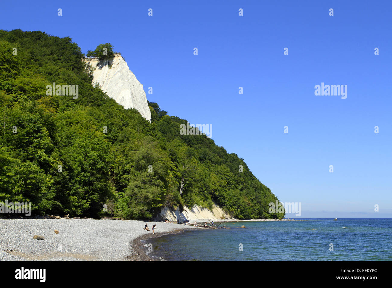 Deutschland, Mecklenburg-Vorpommern, Ostsee, Insel Ruegen, Nationalpark ...