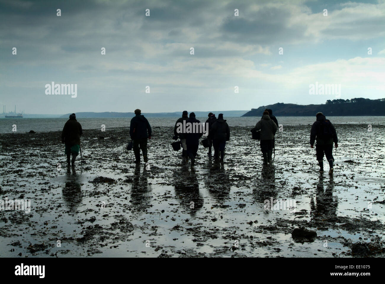 Dale Fort Study Centre in West Wales where students study marine ...
