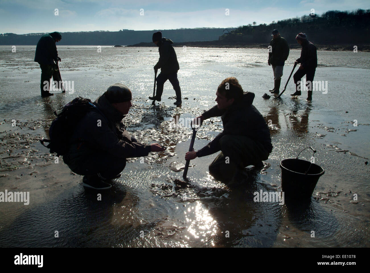 Dale Fort Study Centre in West Wales where students study marine ...