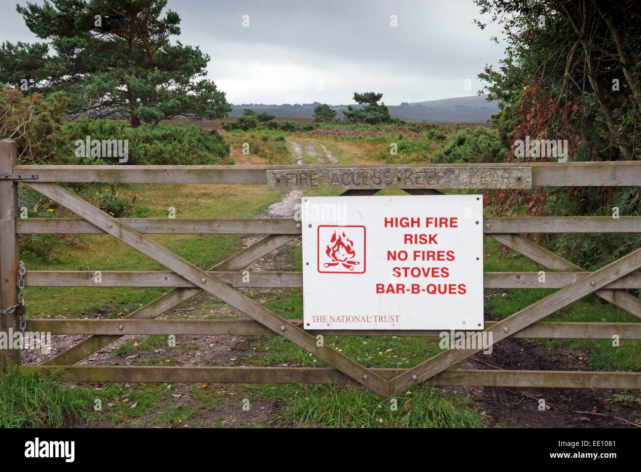 Studland & Godlington Heaths, Dorset, UK showing ponies and Agglestone ...