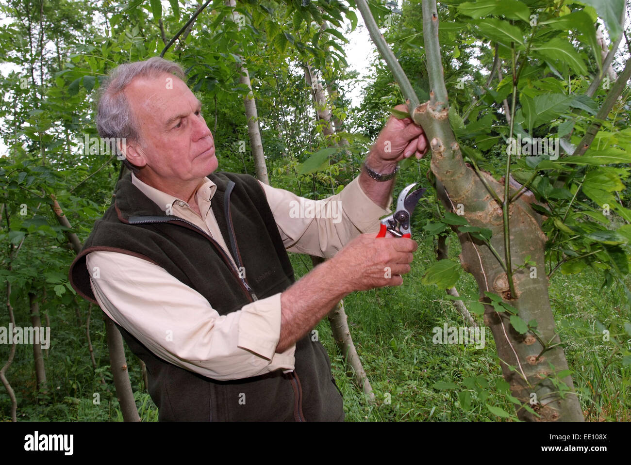 Classic Canes who make traditional turned and carved walking sticks and ...