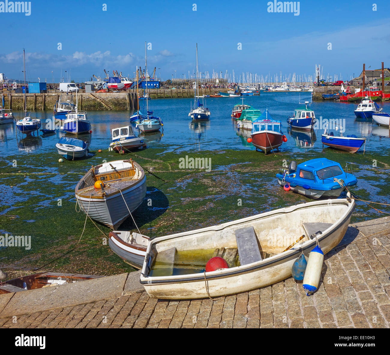 Colorful birds in england hi-res stock photography and images - Alamy