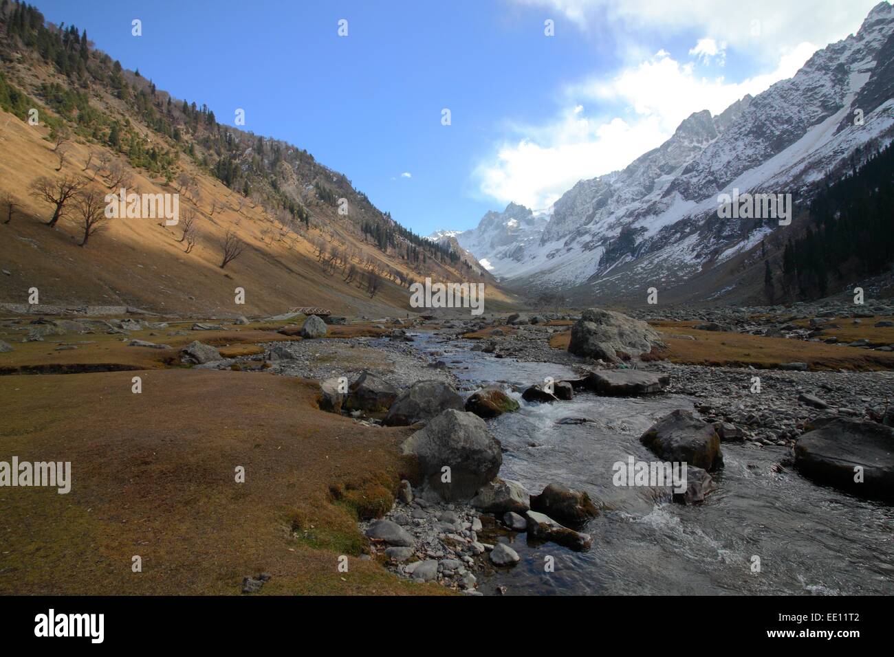 Cashmir hi-res stock photography and images - Alamy