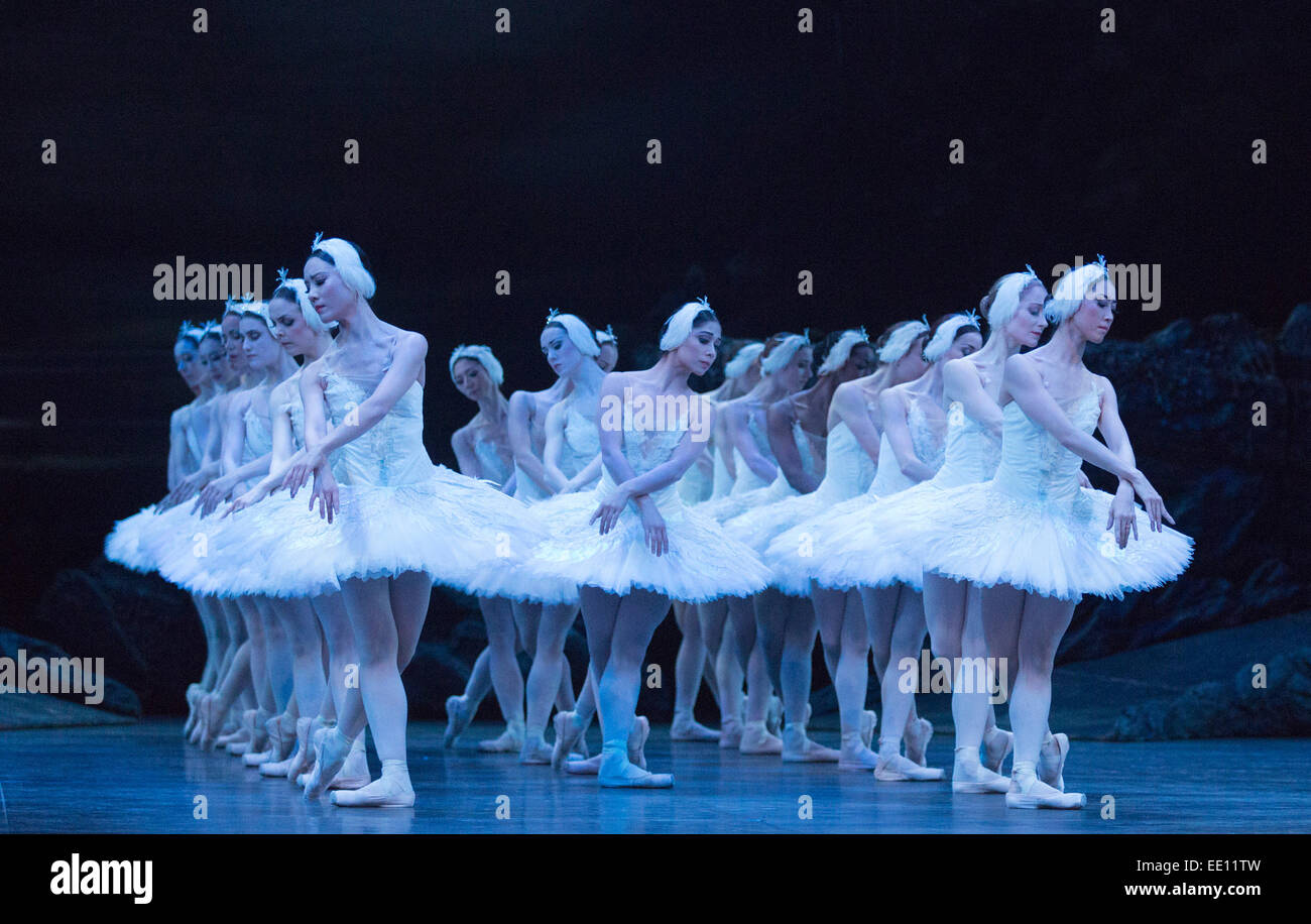 Swans danced by artists of the English National Ballet. Dancers from ...