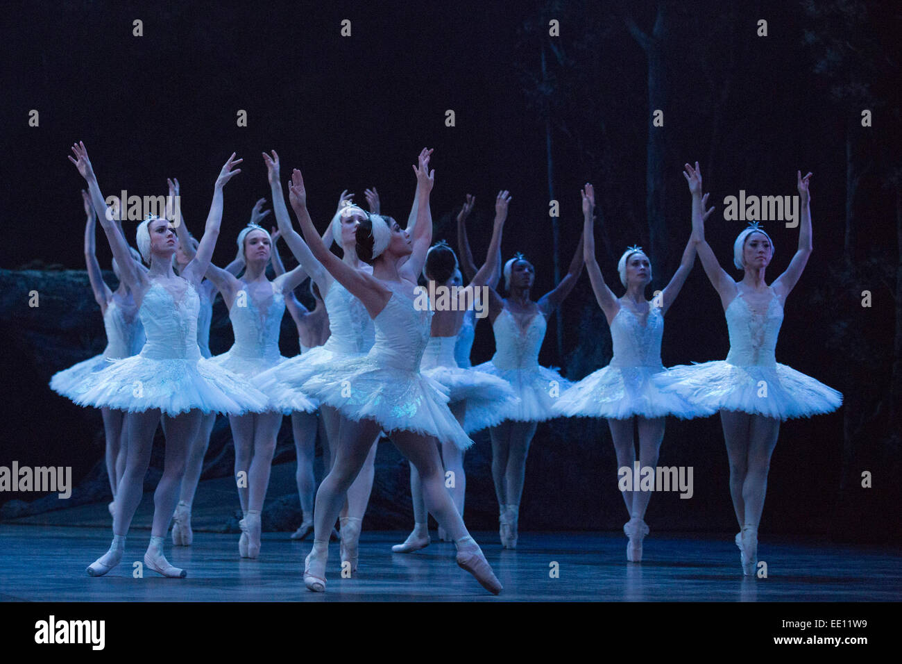 Rothbart swan lake hi-res stock photography and images - Alamy