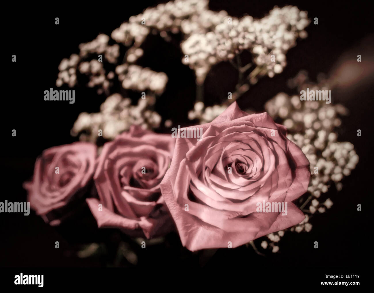Romantic bouquet of Red roses and white flowers Stock Photo - Alamy