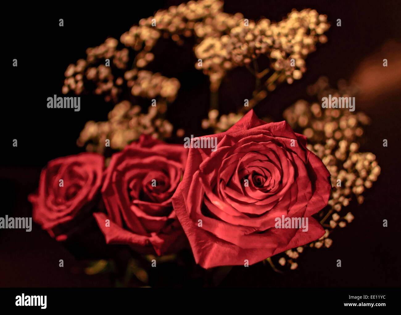Romantic red flowers hi-res stock photography and images - Alamy
