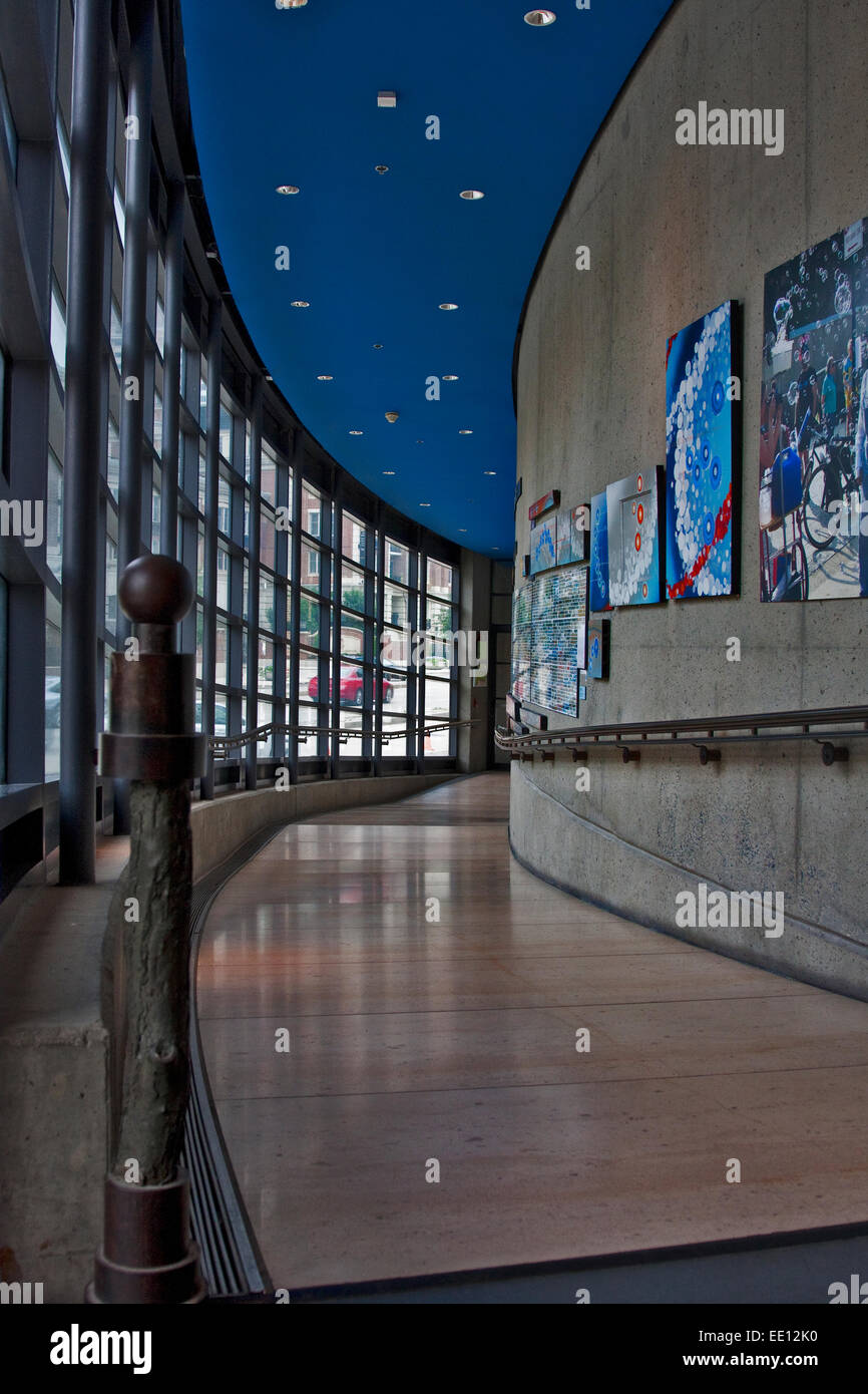 American Visionary Art Museum, Baltimore, Maryland, This image is of a ...