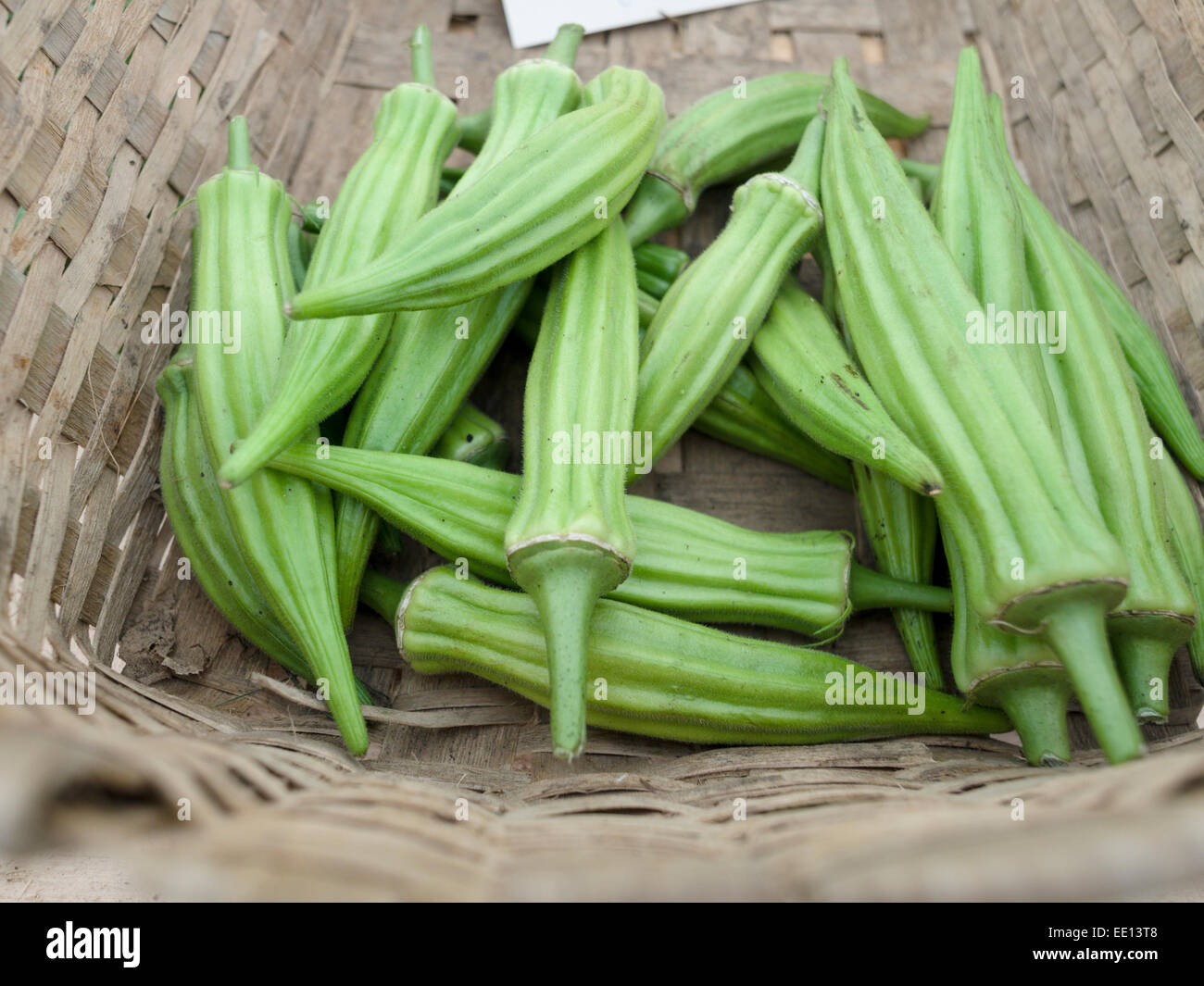 Bright green basket of Okra. A basket with okra pods. Upper Canada ...