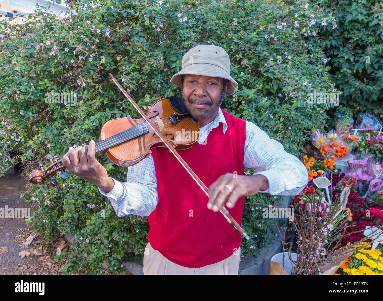Male violin player hi-res stock photography and images - Alamy