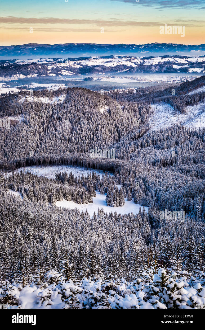 Winter valley view pine hi-res stock photography and images - Alamy