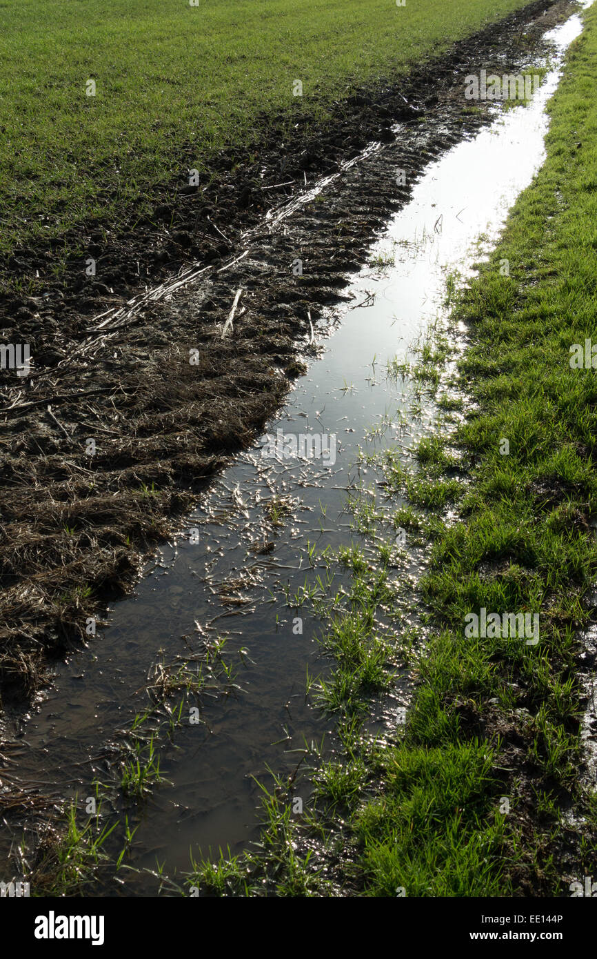 Muddy puddle field hi-res stock photography and images - Alamy