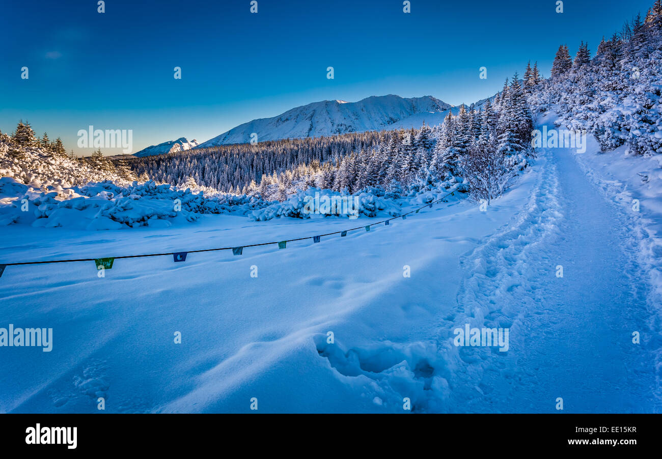 Winter path in the mountains at sunrise Stock Photo - Alamy