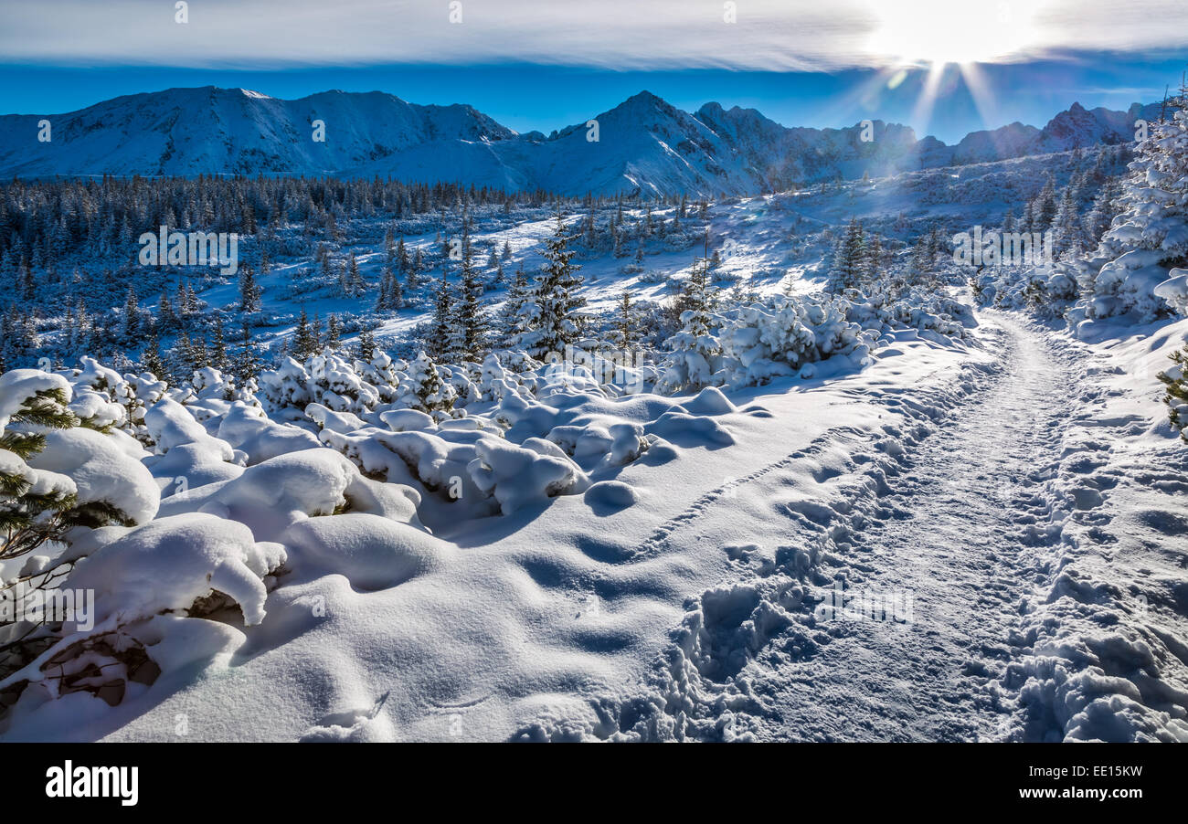 Winter in the Tatras Mountain Stock Photo - Alamy