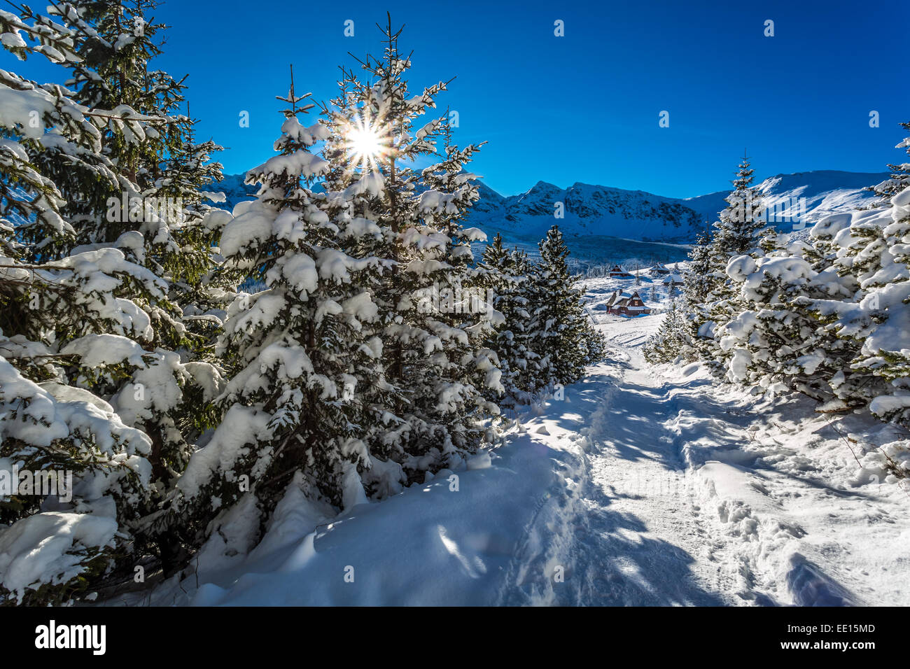 Sunny mountain path in winter Stock Photo - Alamy