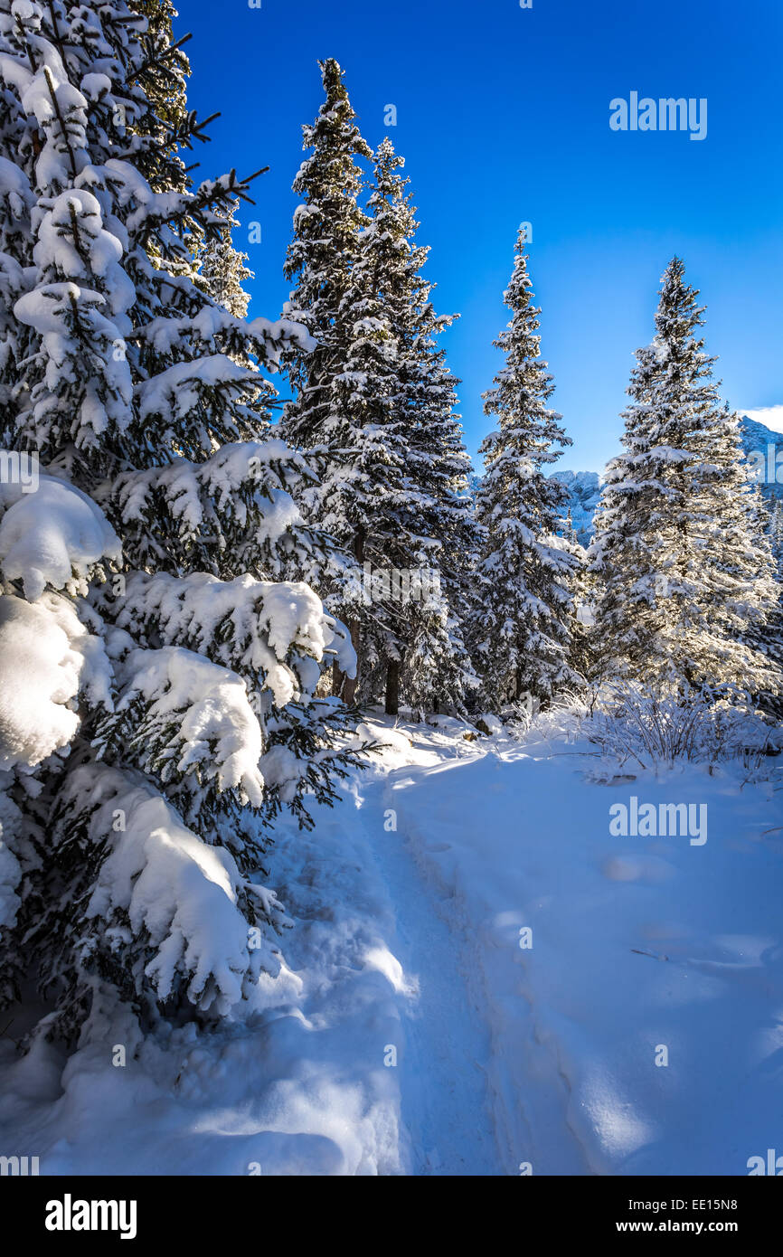 Winter snowy mountain trail Stock Photo - Alamy