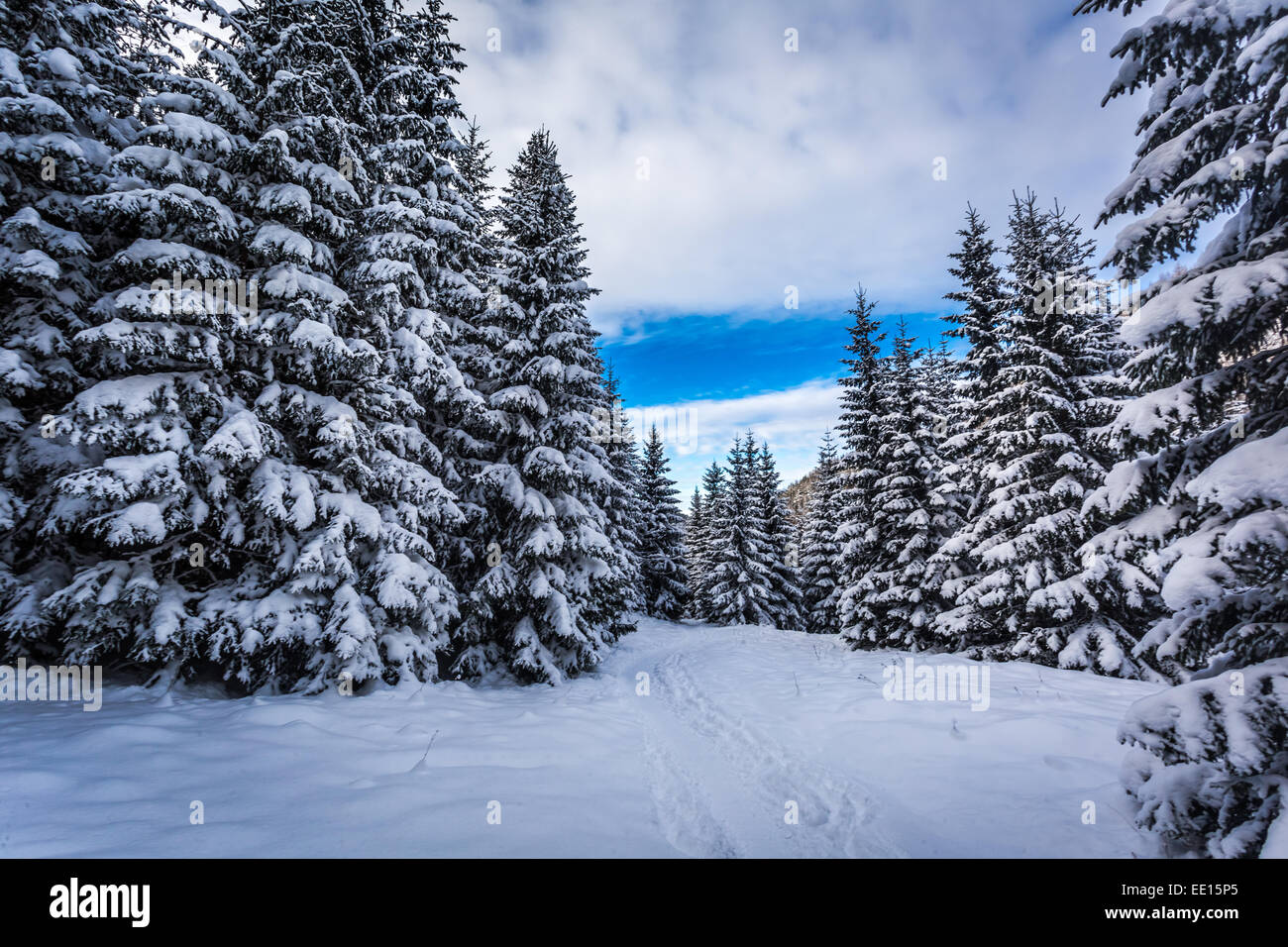 Winter full of snow mountain path Stock Photo - Alamy