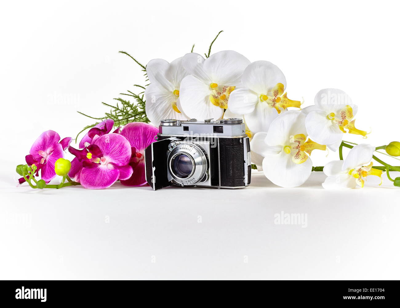vintage camera with flowers Stock Photo - Alamy