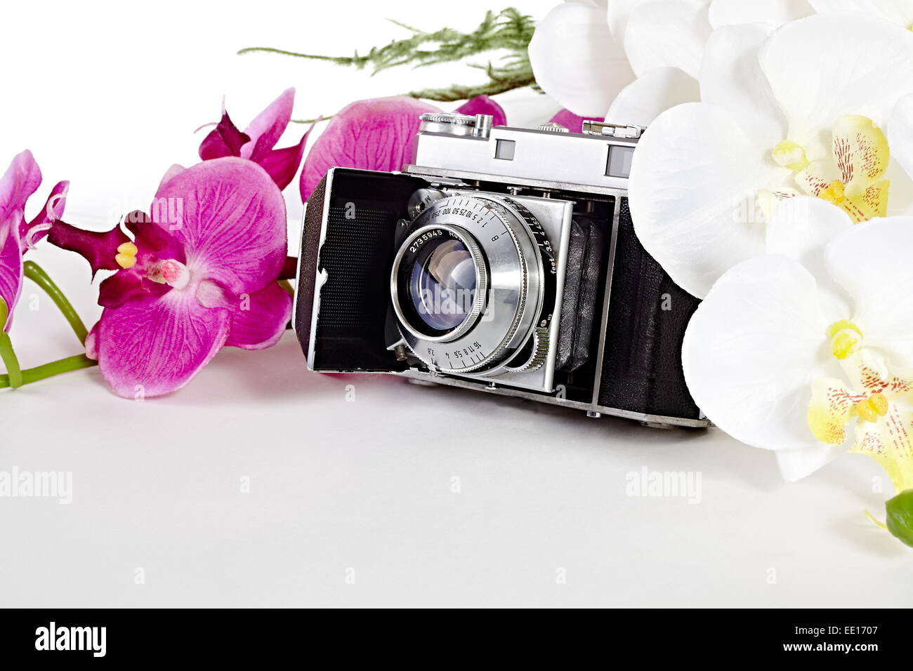 Vintage stock family photo hi-res stock photography and images - Alamy