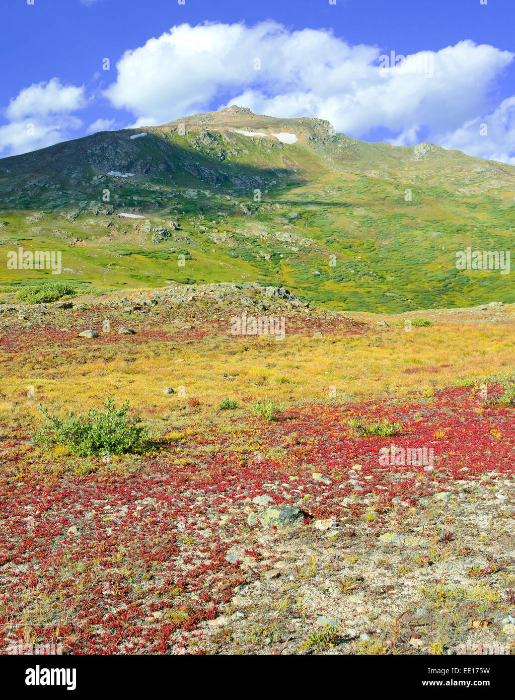 Autumn colora hi-res stock photography and images - Alamy