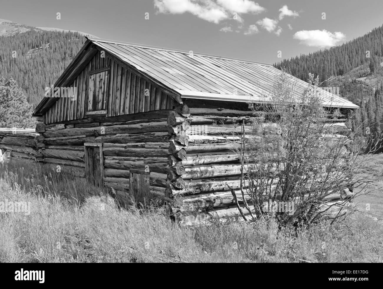 Vintage Log cabin in old mining town, Colorado Stock Photo - Alamy