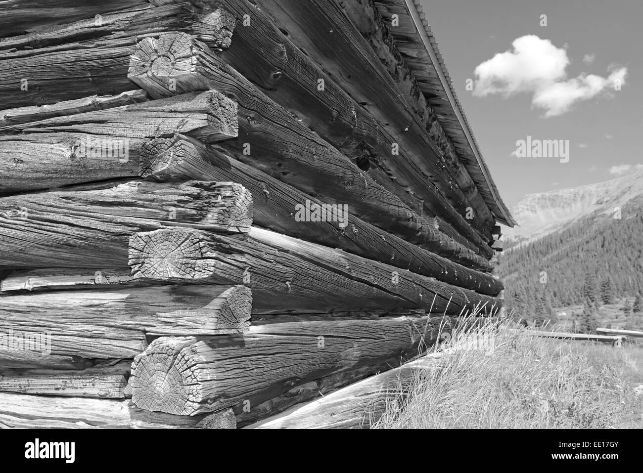 Vintage Log cabin in old mining town, Colorado Stock Photo - Alamy
