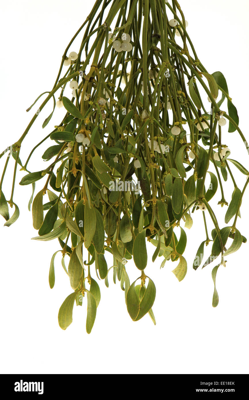 Kelten hi-res stock photography and images - Alamy