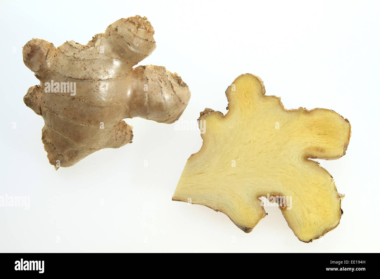 Ingwer (Zingiber officinale Stock Photo - Alamy