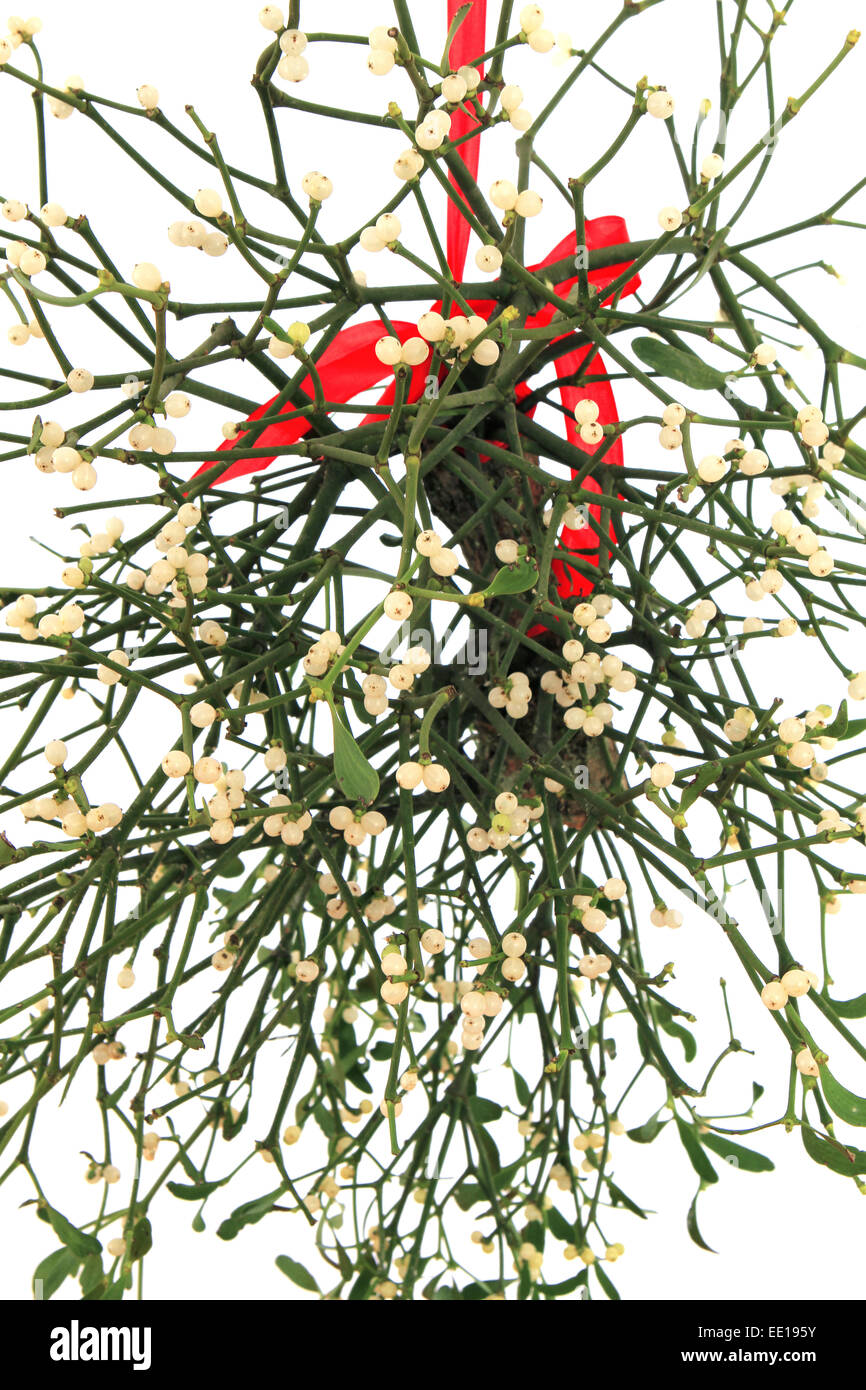 Mistelzweig weihnachten hi-res stock photography and images - Alamy