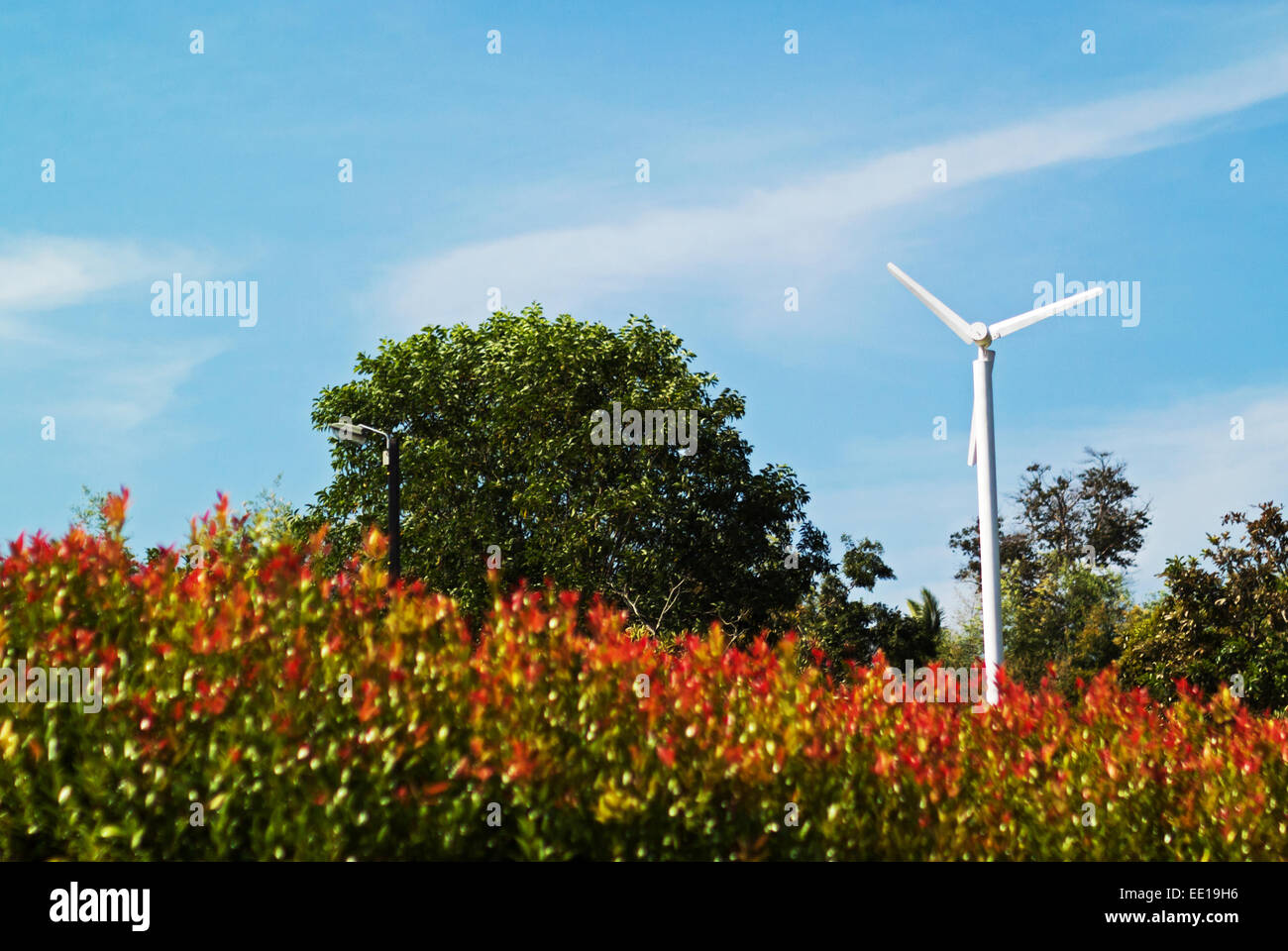 An Wind Energy in morning light Stock Photo - Alamy