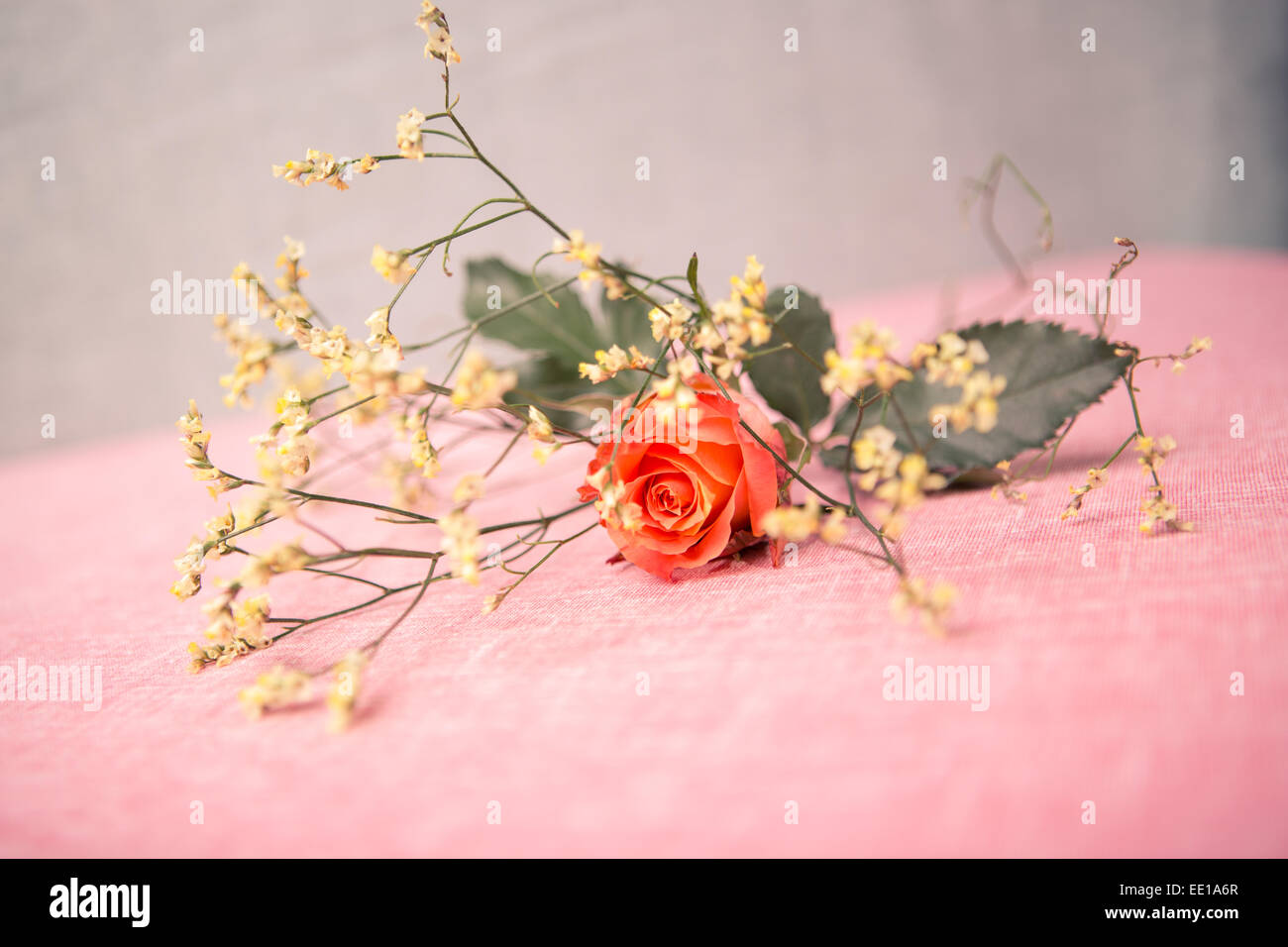 Rose on the table hi-res stock photography and images - Alamy
