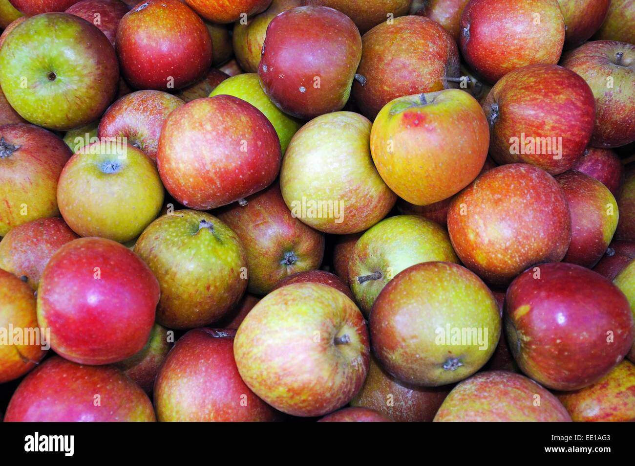 Cox apples hi-res stock photography and images - Alamy